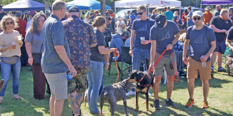 Chili Cook Off | Nov 8th | Texas Humane Heroes