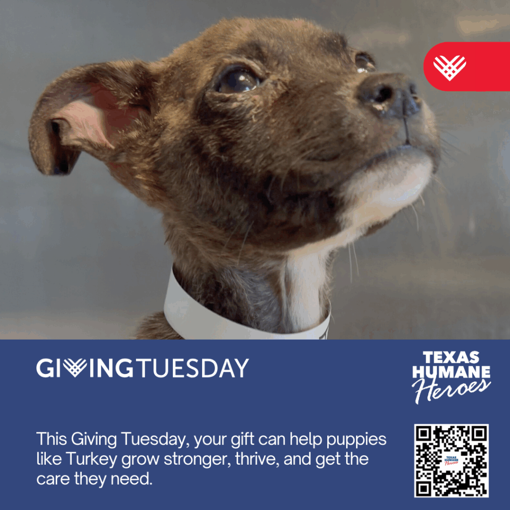 | Texas Humane Heroes