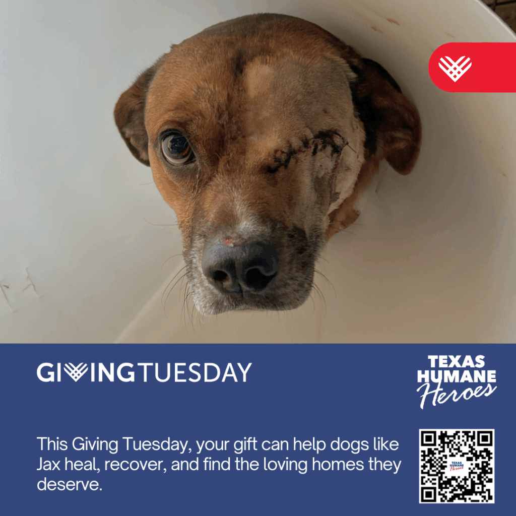 | Texas Humane Heroes