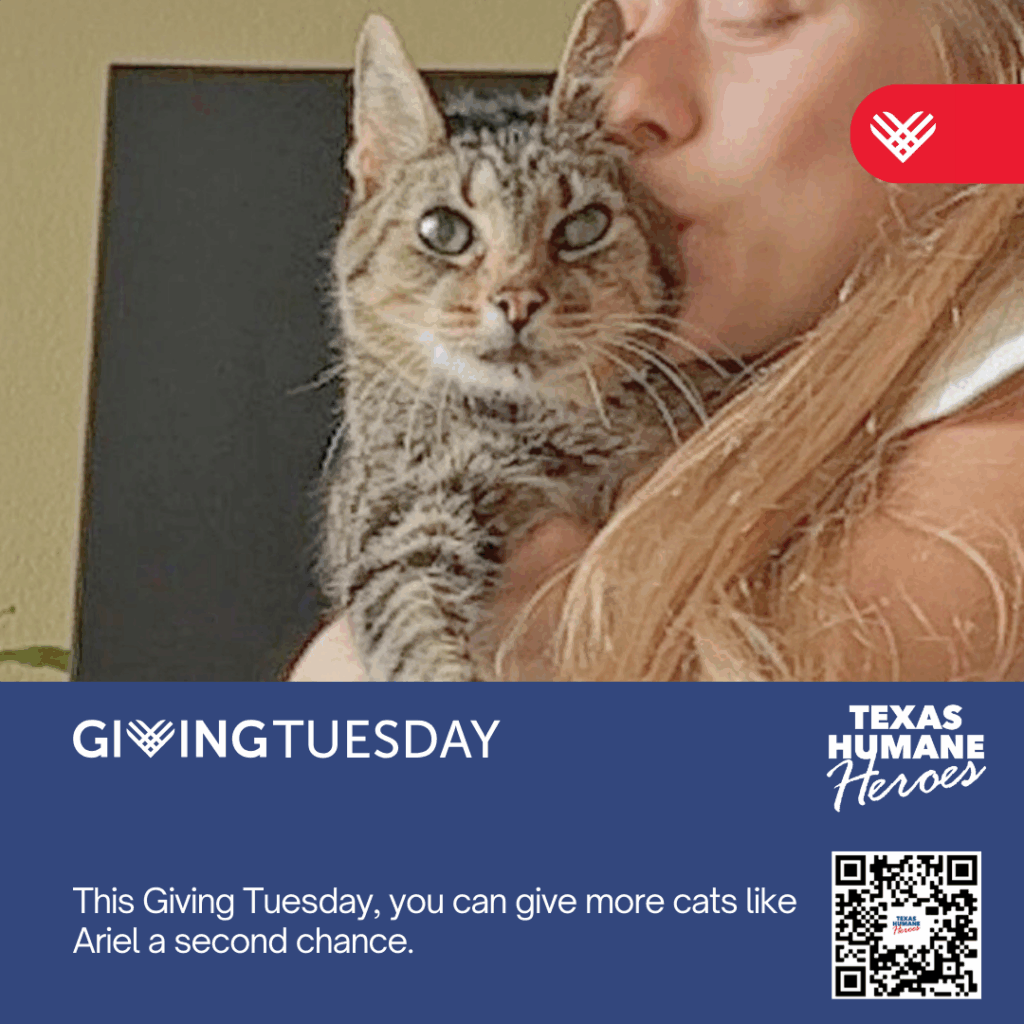 | Texas Humane Heroes