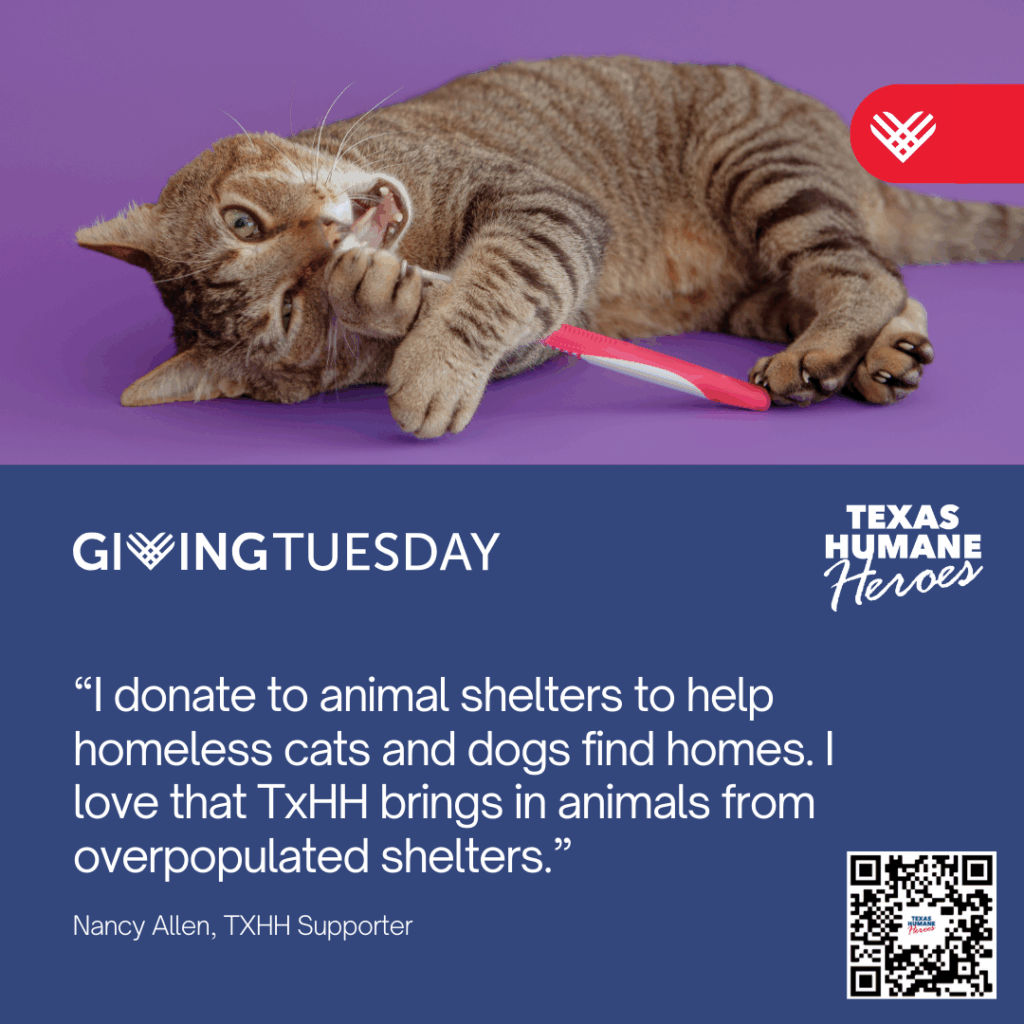 | Texas Humane Heroes