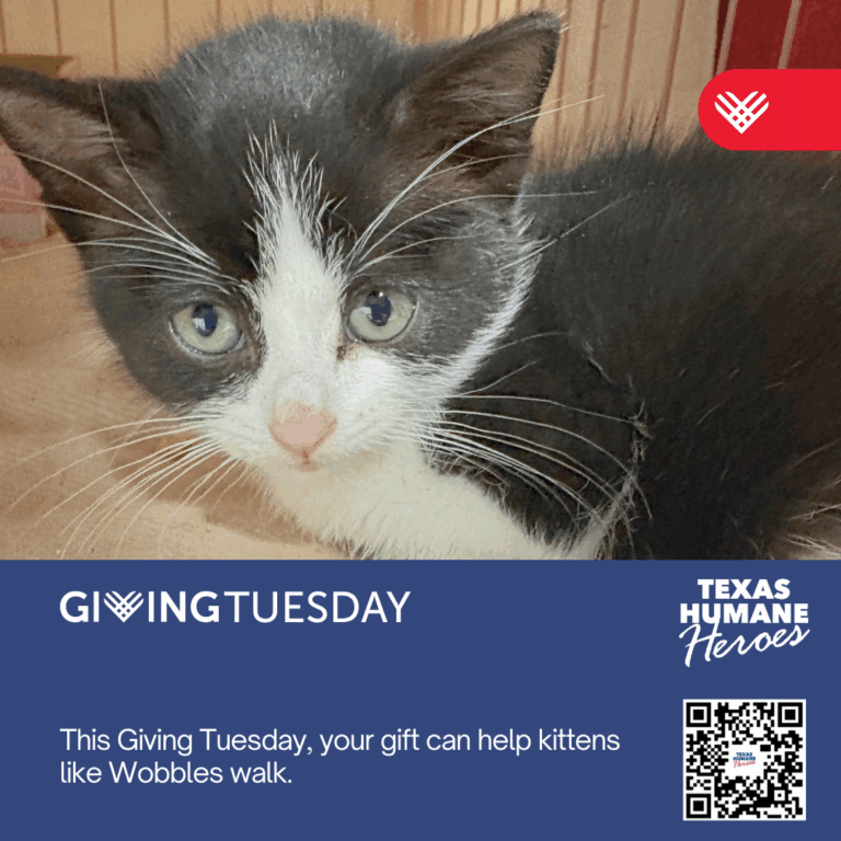 | Texas Humane Heroes